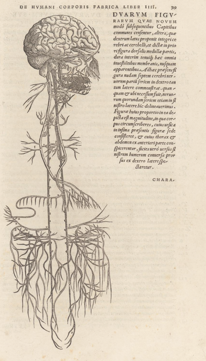 Imagining Vesalius – Danielle Ofri